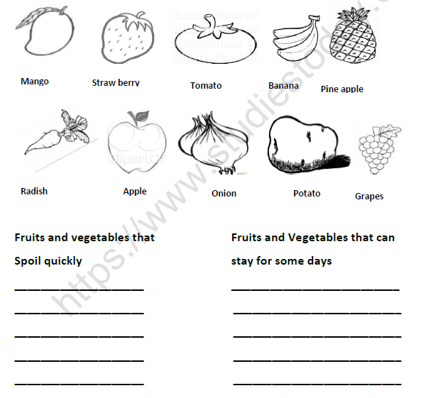 CBSE Class 4 EVS From Market To Home Worksheet
